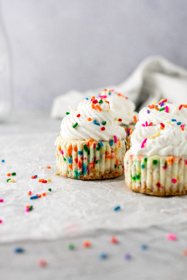 Funfetti Mini Cheesecakes - Ginger Snaps Baking Affairs