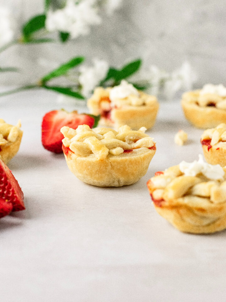 Mini S'mores Pies Recipe (6 Ingredients!) - Ginger Snaps Baking Affairs