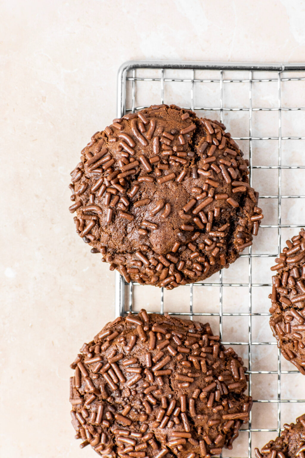 Chocolate Sprinkle Cookies - Ginger Snaps Baking Affairs