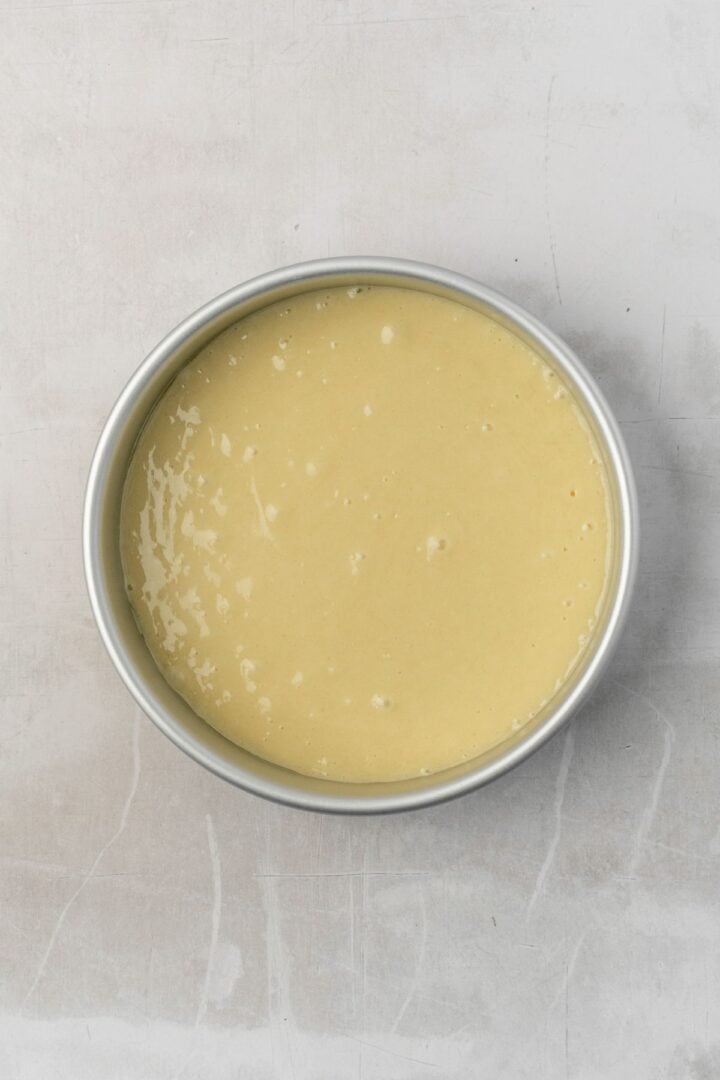 Easy One Layer Vanilla Cake Recipe - Ginger Snaps Baking Affairs