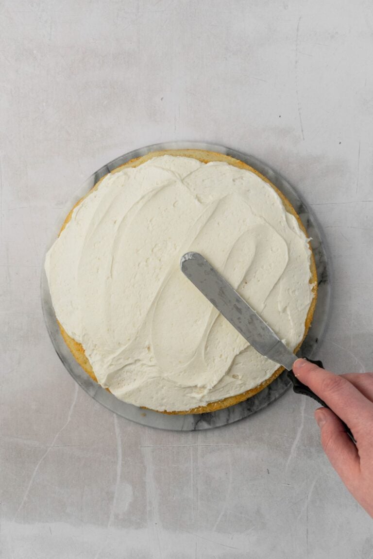 Easy One Layer Vanilla Cake Recipe - Ginger Snaps Baking Affairs