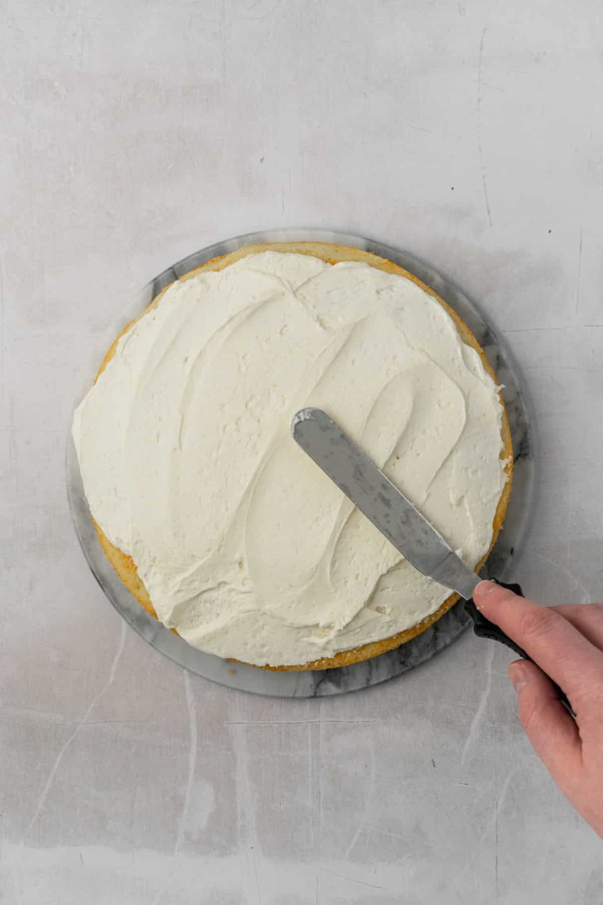 Easy One Layer Vanilla Cake Recipe - Ginger Snaps Baking Affairs